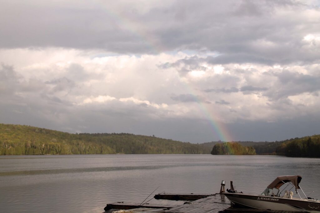 Cook / Caretaker Wanted – Local Pontiac